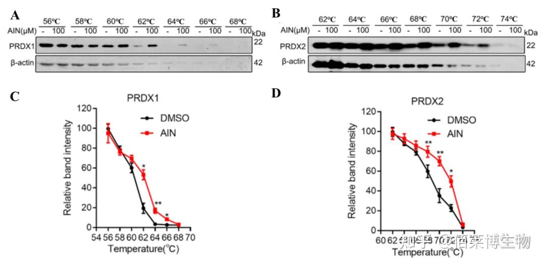 蛋白与药物互作专题八：免纯化微量热泳动 (MST) 和细胞热迁移 (CETSA) 在分子互作中的应用 - 知乎