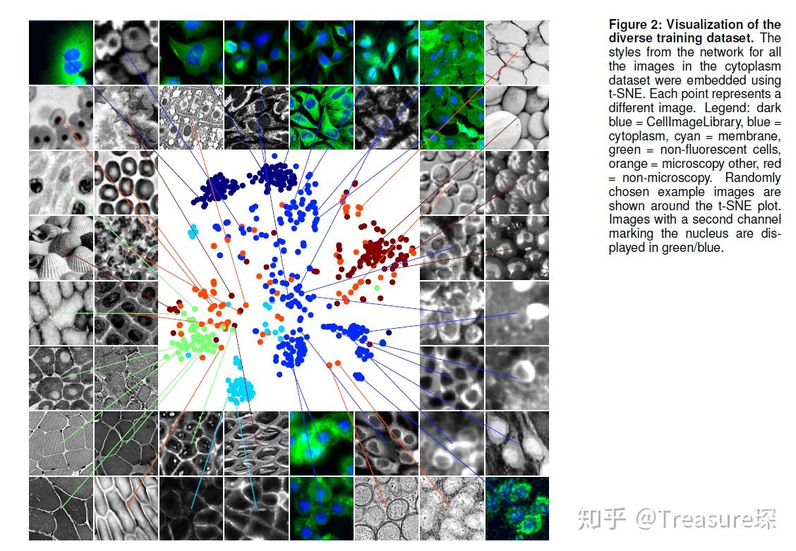 ImageJ实用教程——网页版ImageJ - 知乎