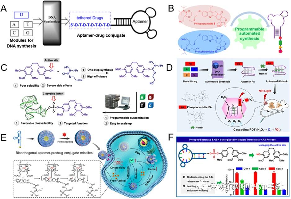 核酸适体偶联药物（ApDC）在肿瘤治疗中的最新进展 - 知乎