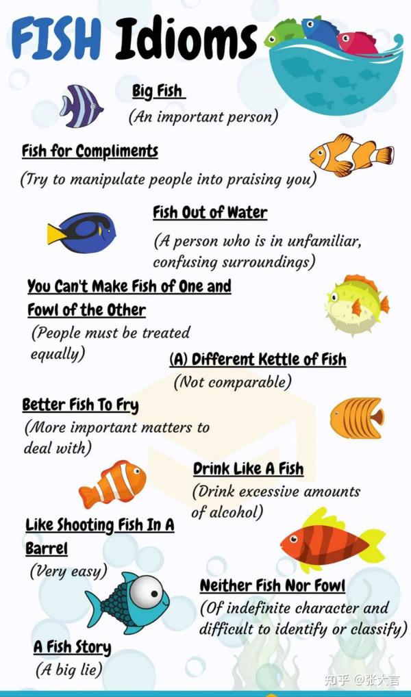 Fish Idioms with Meaning and Examples 和鱼有关的表达，包括含义和例句。 - 知乎