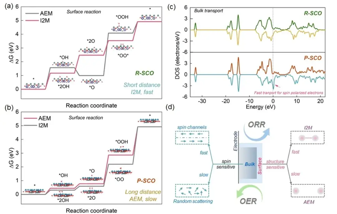 两种主流计算方法的正确应用方式“DFT计算还是MD模拟”？ - 知乎