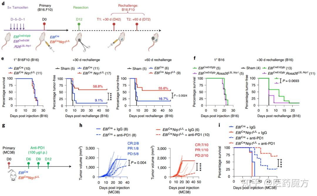 癌症免疫治疗新靶点——NRP1 - 知乎