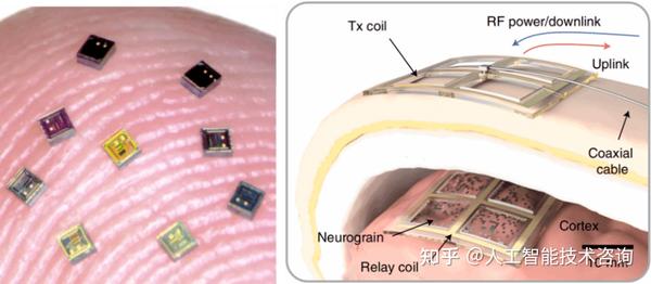 脑机接口技术的军事应用现状与未来 - 知乎