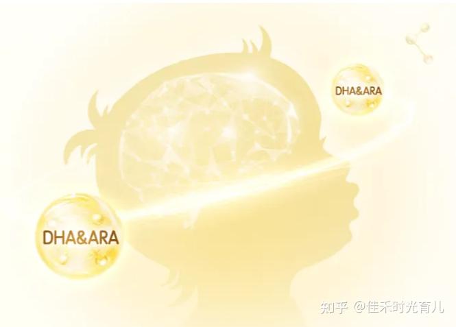 DHA+ARA：孩子成长的黄金营养组合，远超普通纯 DHA！ - 知乎