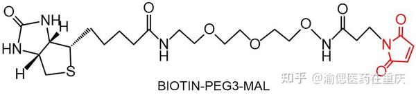 单分散PEG，Biotin-PEG3-Mal,生物素聚乙二醇3马来酰亚胺,CAS：1431618-70-0，仅供科研实验使用 - 知乎