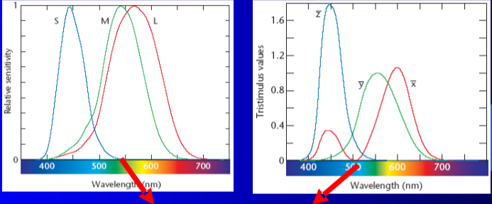Understanding Light and Color - 知乎