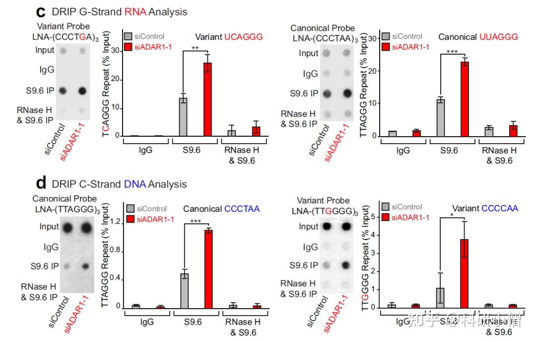 Nat Commun如何深入研究一个酶，你知道吗？ - 知乎