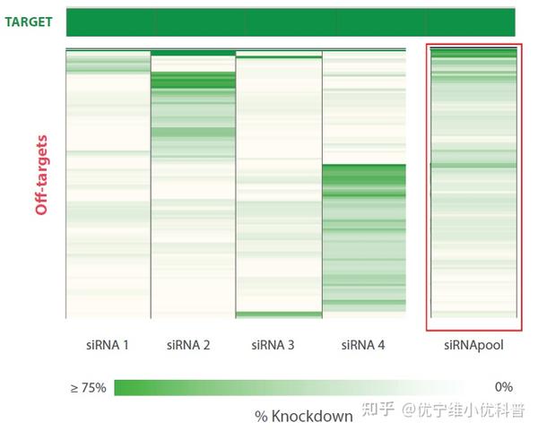siRNA——你不知道的那些小奥秘 - 知乎