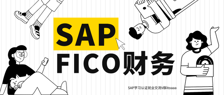 【SAP FICO财务成本】SAP中的基本术语2：控制范围、经营组织、主数据、 损益表、会计科目 - 知乎
