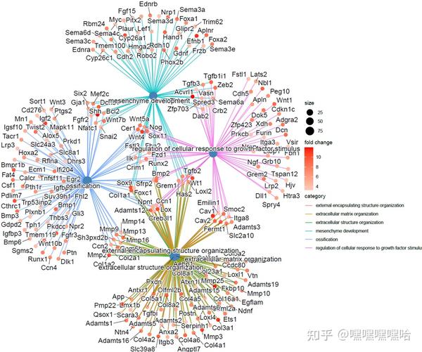 RNA-seq入门实战（六）：GO、KEGG富集分析与enrichplot超全可视化攻略 - 知乎