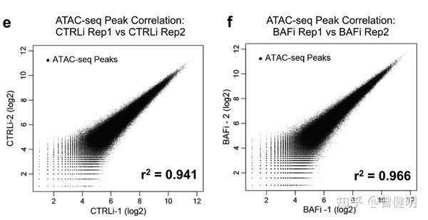 ATAC-seq的经典差异分析 - 知乎