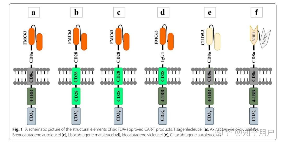 CAR各个模块的总结（包含最近的发现） - 知乎