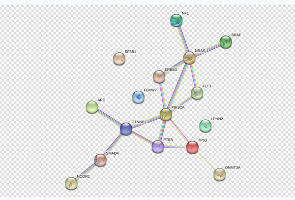 实用工具丨基于STRING的蛋白质相互作用（PPI）分析 - 知乎