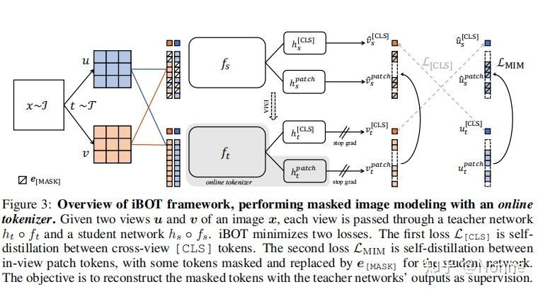 【论文精读】IBOT - 知乎