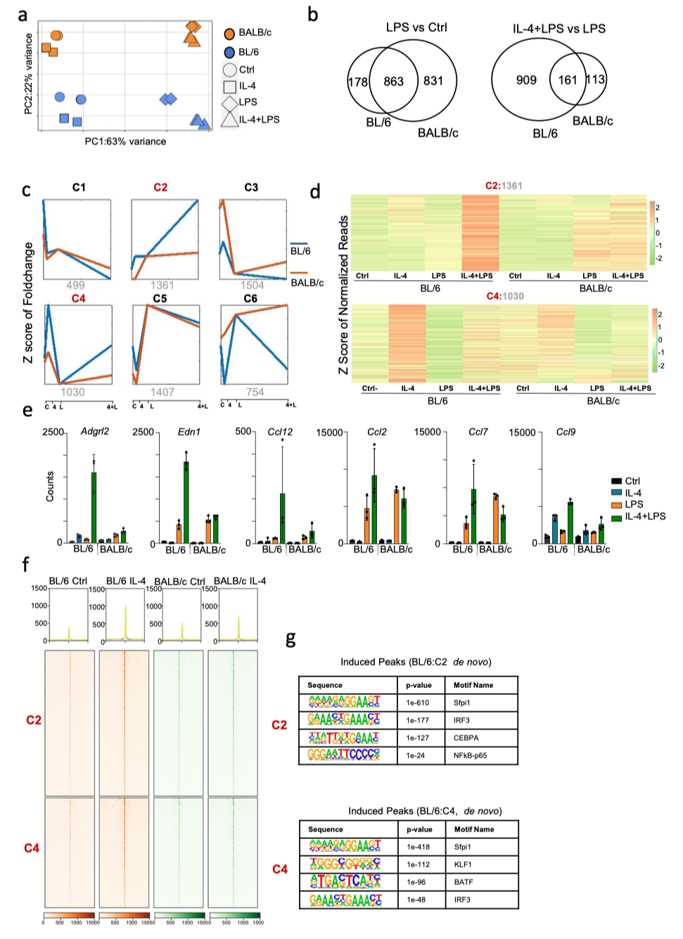 Nature子刊丨IL-4激活的组织驻留巨噬细胞的遗传变异决定了特定Strain对LPS的协同反应 - 知乎