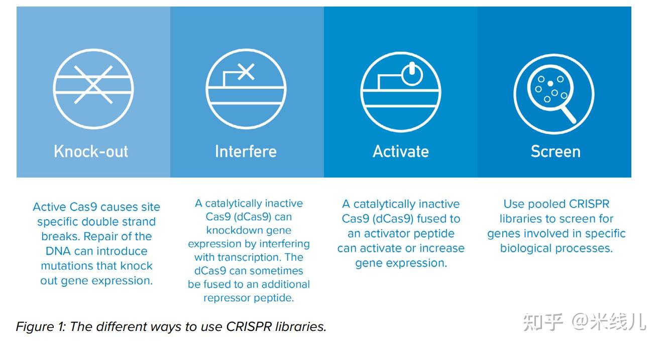 优化的全基因组CRISPRko、CRISPRi和CRISPRa文库 - 知乎