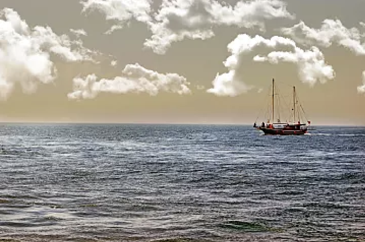 从Cult.DAO的爆发探索DAO的范式转变 - 知乎