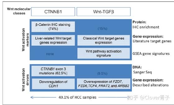 肝癌：肝癌分期与分子分型 - 知乎