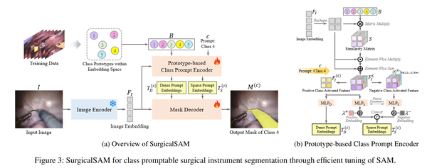 SAM在医学影像中的应用（最新） - 知乎