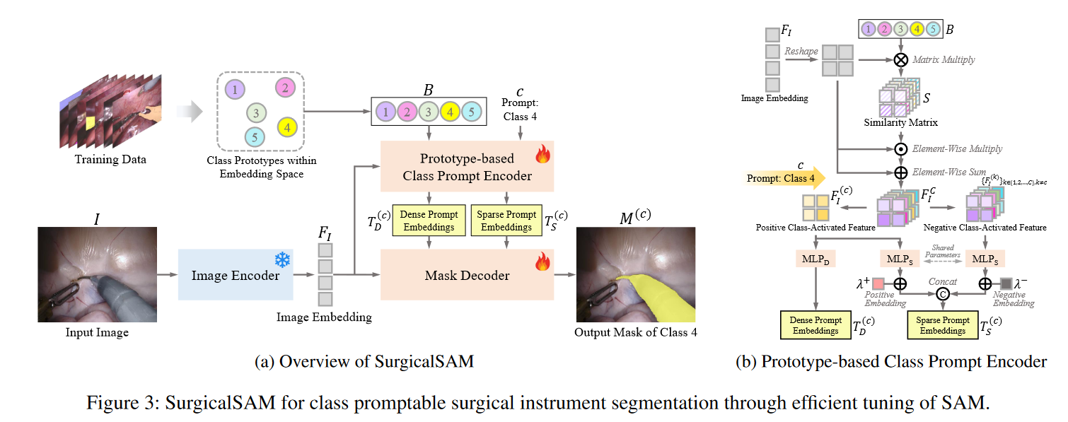 SAM在医学影像中的应用（最新） - 知乎