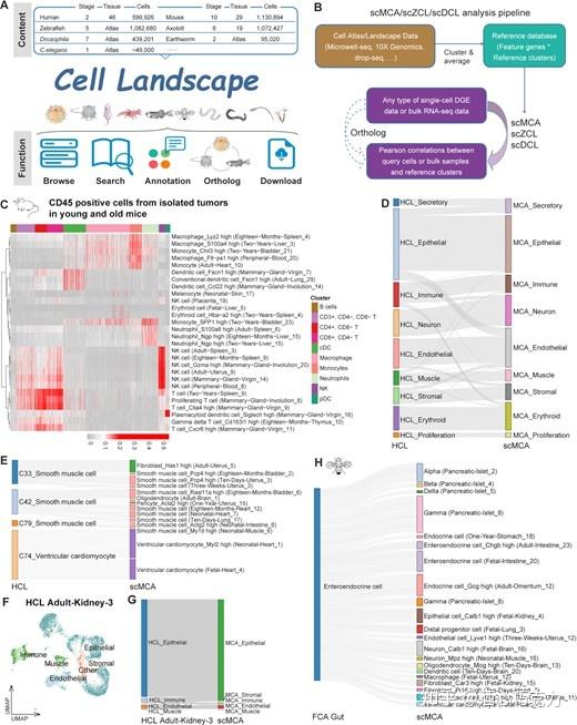文献阅读| Construction of a cross-species cell landscape at single-cell level - 知乎
