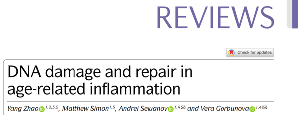 Nat Rev Immunol 综述 | 浙江大学医学院赵阳等评述衰老相关炎症中的DNA损伤和修复 - 知乎
