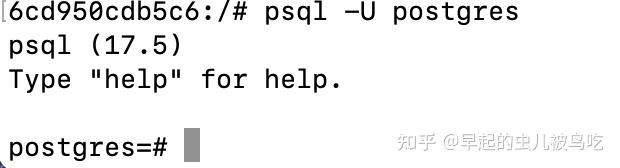 在Orbstack（V 1.11.3）上的Docker安装PostgreSQL - 知乎