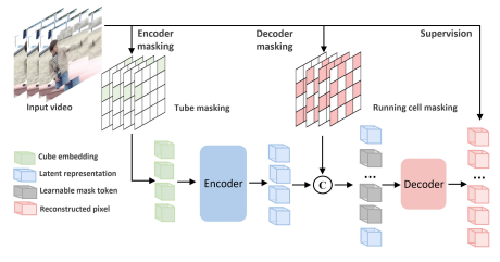 CVPR2023-VideoMAEv2-MAE视频化续作 - 知乎