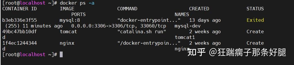 docker虚拟化跑mysql、tomcat、nginx - 知乎