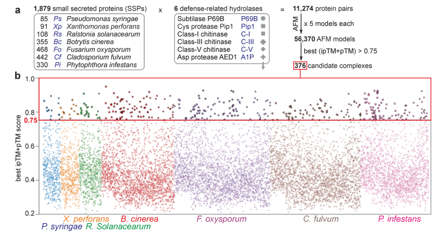 Nature Commun | 迈出人工智能解析植物胞间免疫第一步：利用AlphaFold-Multimer鉴定新型水解酶抑制子 - 知乎