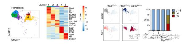 【烈冰助力】肿瘤顶刊Cancer cell 揭示抗雄激素治疗诱导基质细胞重编程以促进前列腺癌的去势抵抗 - 知乎