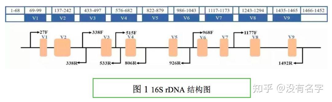 16S测序简介 - 知乎