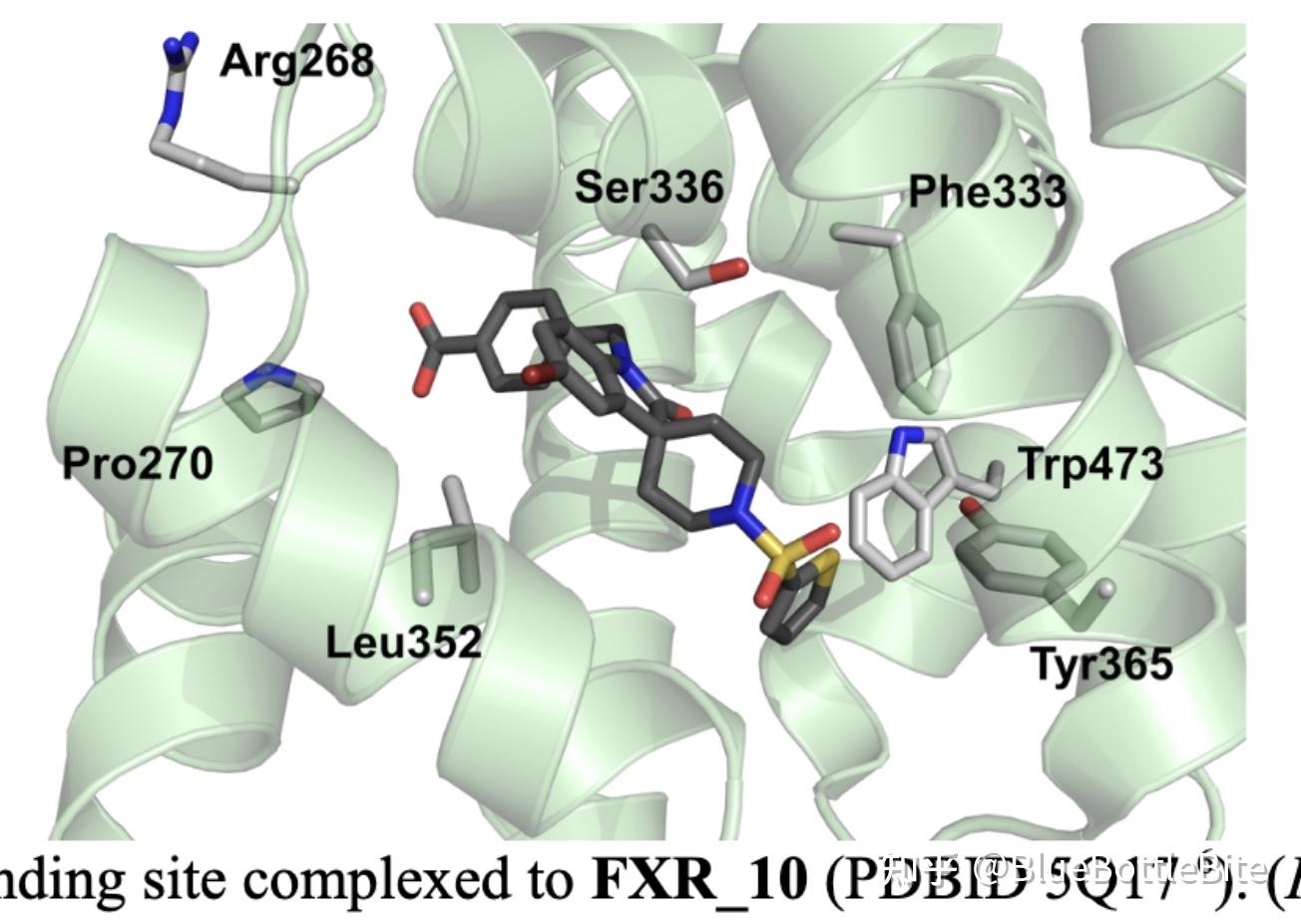 靶点-小分子自由能微扰全流程教程-Gromacs 版 - 知乎