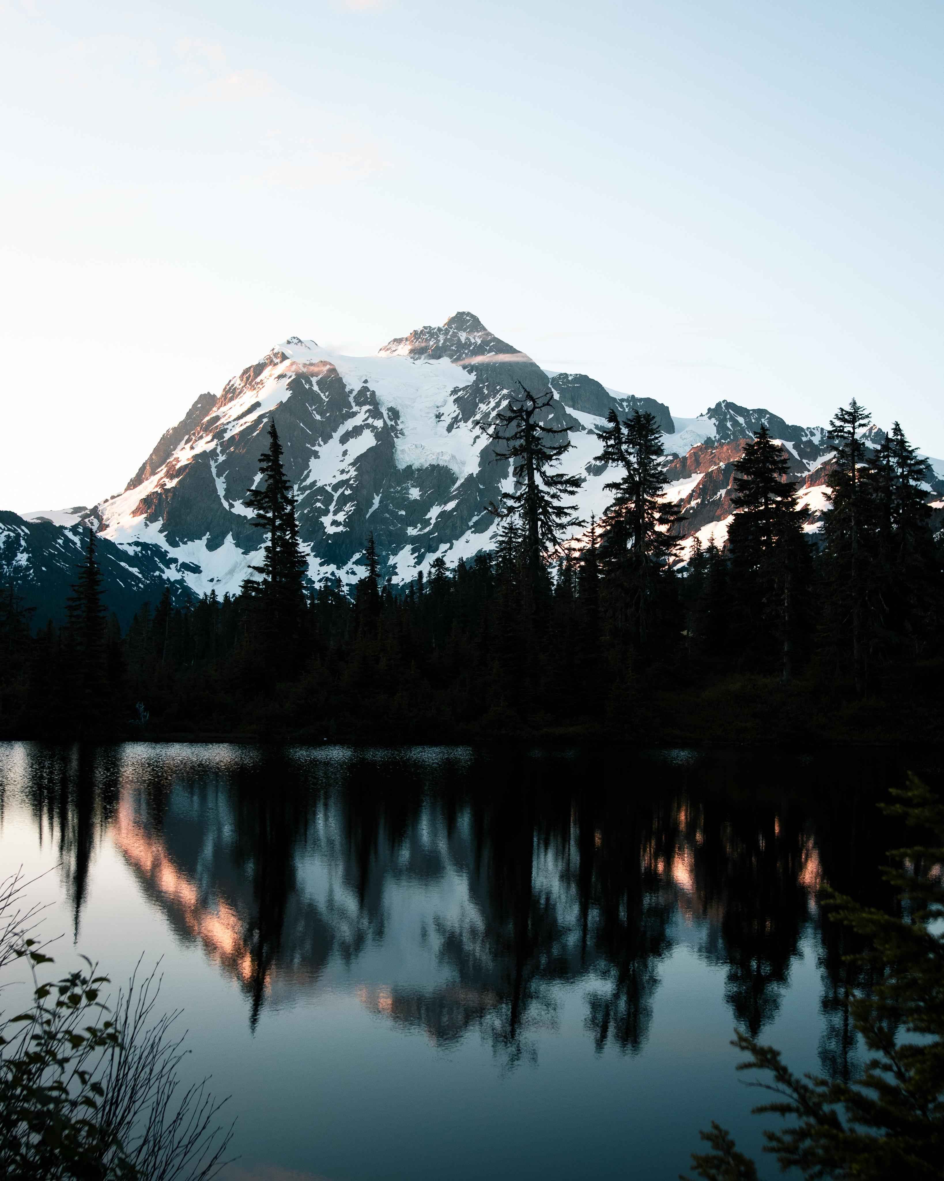 PyTorch | 保存和加载模型 - 知乎