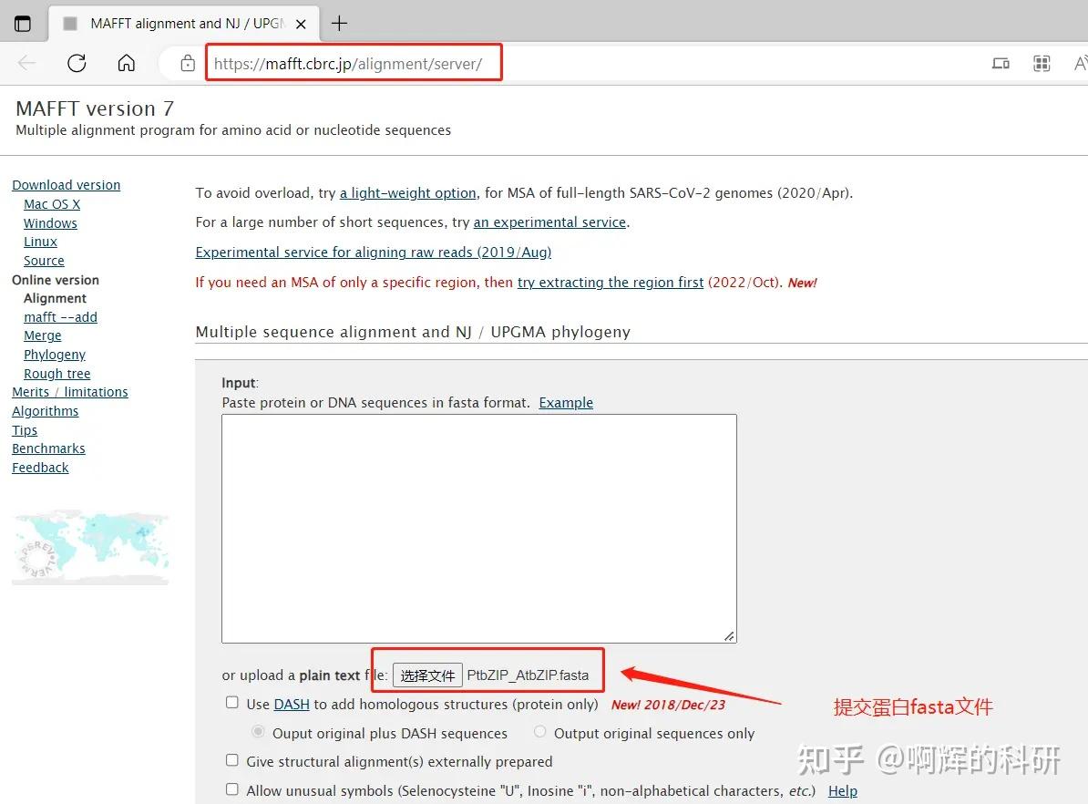 基因家族的系统进化树-基于Windows系统上的iqtree - 知乎