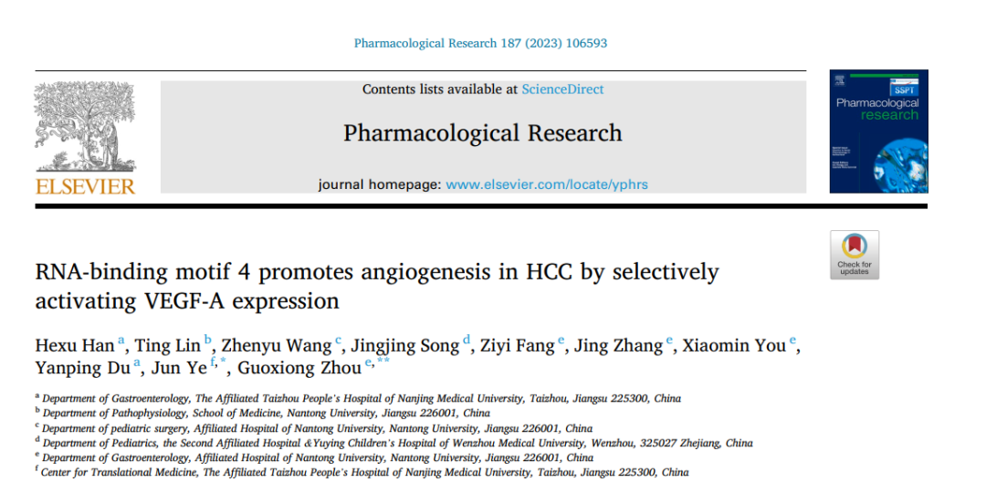 Pharmacol Res | 周国雄/叶军团队研究发现RBM4通过选择性激活VEGF-A的表达来促进肝癌中的血管生成 - 知乎