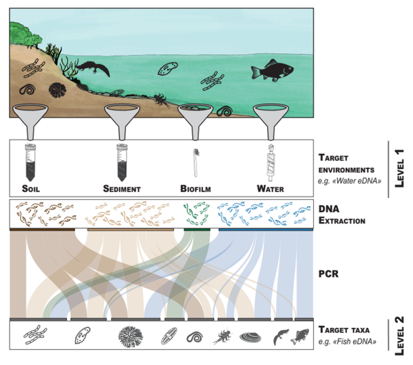 鱼类eDNA生物多样性检测重磅来袭！ - 知乎