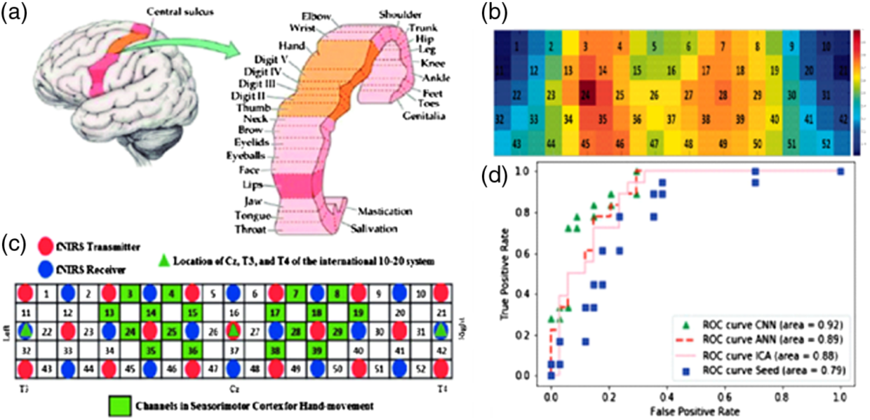 综述 | 深度学习在fNIRS中的应用 - 知乎