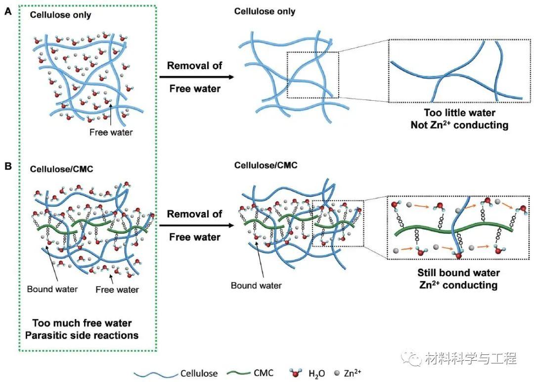 胡良兵《AFM》：用于稳定、高倍率锌离子电池的纤维素电解质！ - 知乎