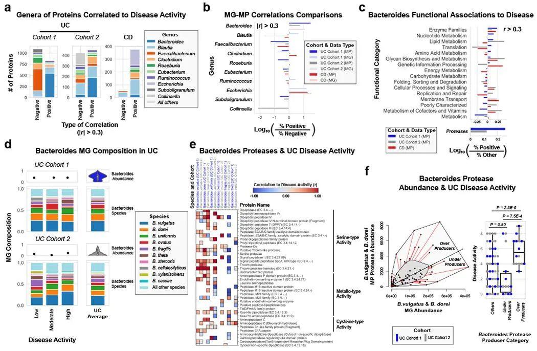 Nat Microbiol | 宏蛋白组学揭示普通拟杆菌蛋白酶是UC的潜在治疗靶点 - 知乎