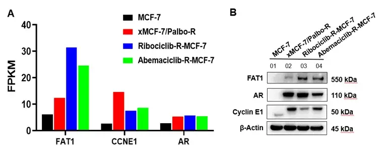 AACR 2024热点速递：肿瘤治疗药物研发最新进展一览 - 知乎