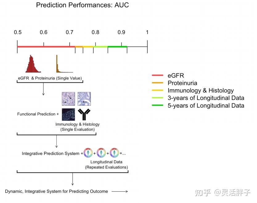 柳叶刀子刊，IF=30.8：肾移植的动态预测模型DISPO - 知乎
