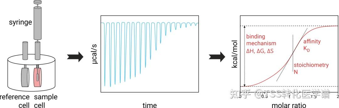 常用ITC、SPR、ELISA等方法如何检测受体和配体分子间相互作用Kd - 知乎