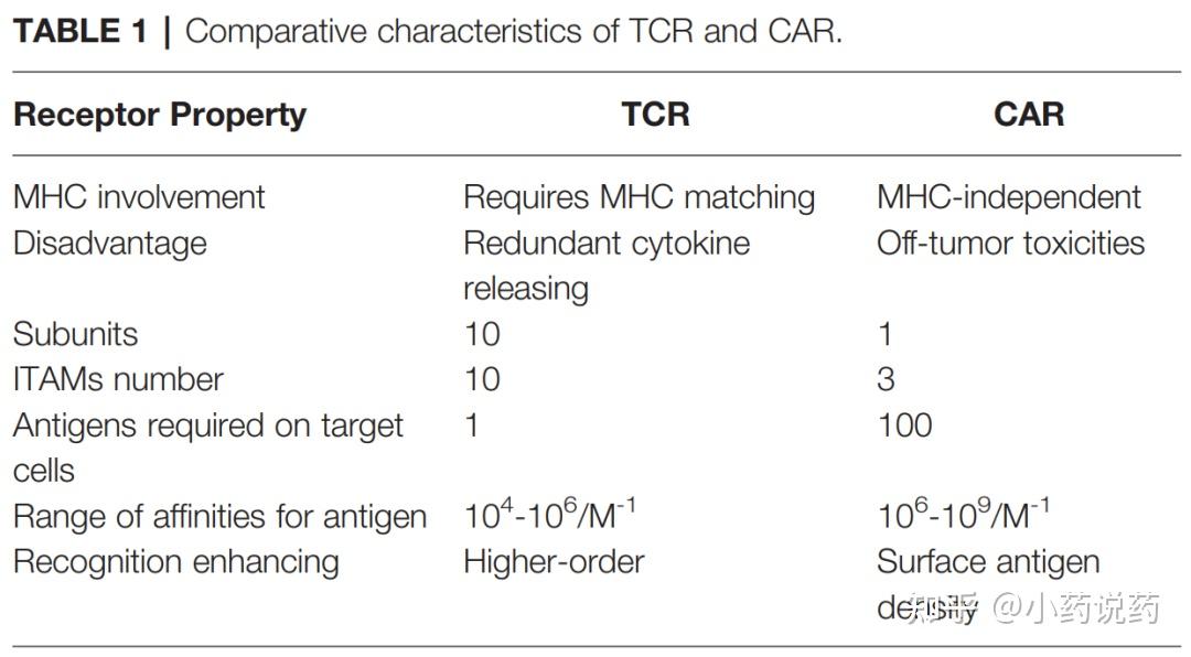 带你全面了解TCR-T细胞治疗 - 知乎