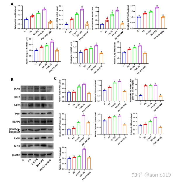 AbMole科研-聚苯乙烯纳米塑料通过ROS驱动的NLRP3通路破坏LPS调节的小鼠十二指肠通透性 - 知乎