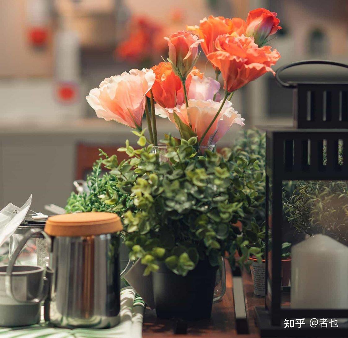 温暖又可爱的情话 知乎