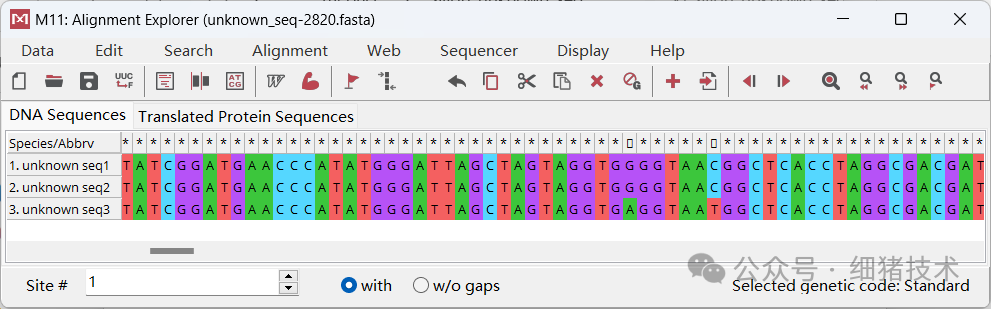 MEGA-CC程序使用方法 - 知乎