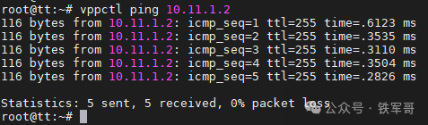 小白也能玩转VPP！Ubuntu 24.04使用APT极速部署VPP - 知乎