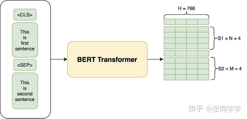 从0到1一步一步解析LLM-BERT(1) - 知乎