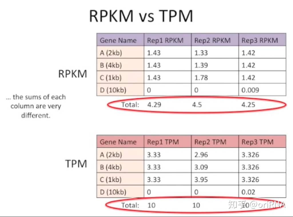 Rnaseq Tpm